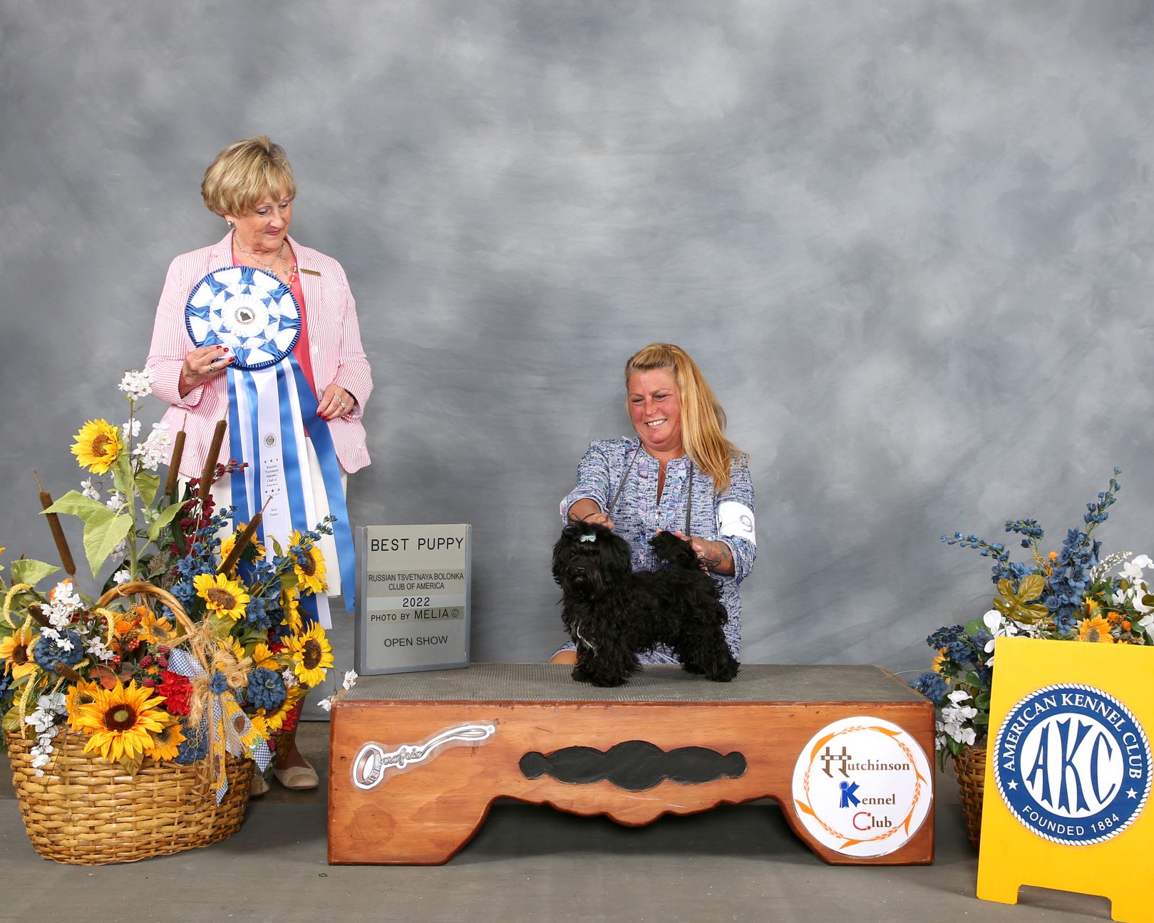 RTBCA 2022 National Specialty - Russian Tsvetnaya Bolonka Club of America